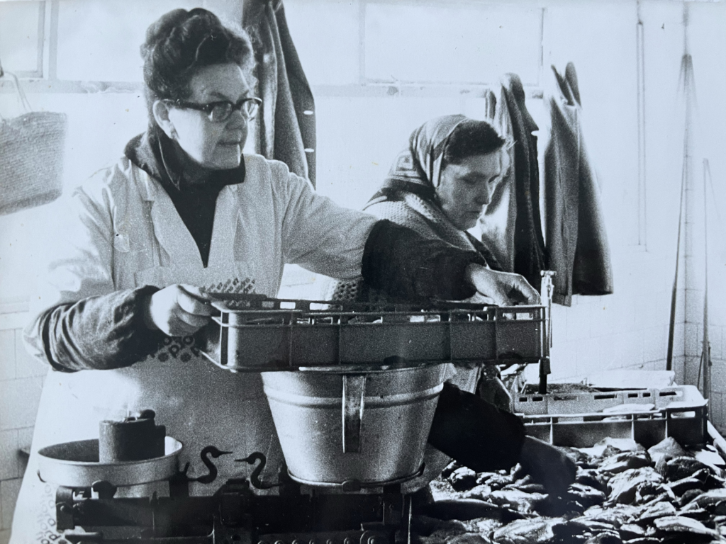 Fish vendors at Koper market (Credit: Steffe family archive) - Fisher ...